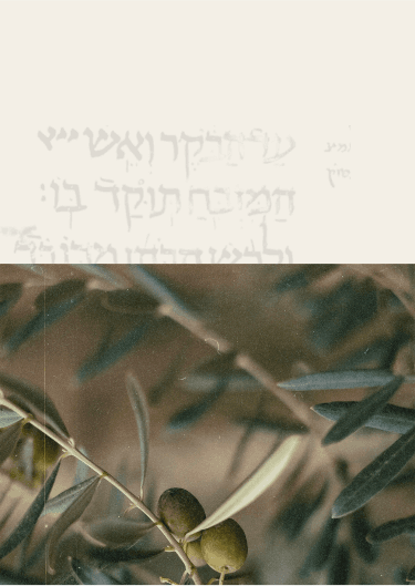Beha’alotecha: Inverted Perception